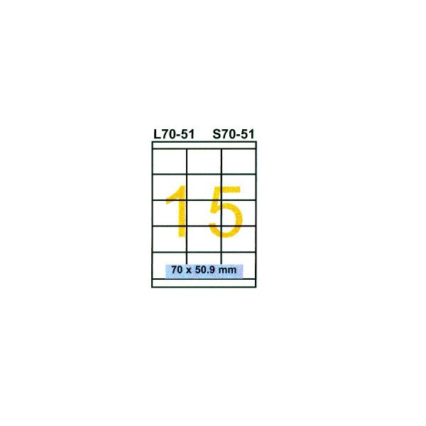 Riklabel Smart labels, 70x50.9mm